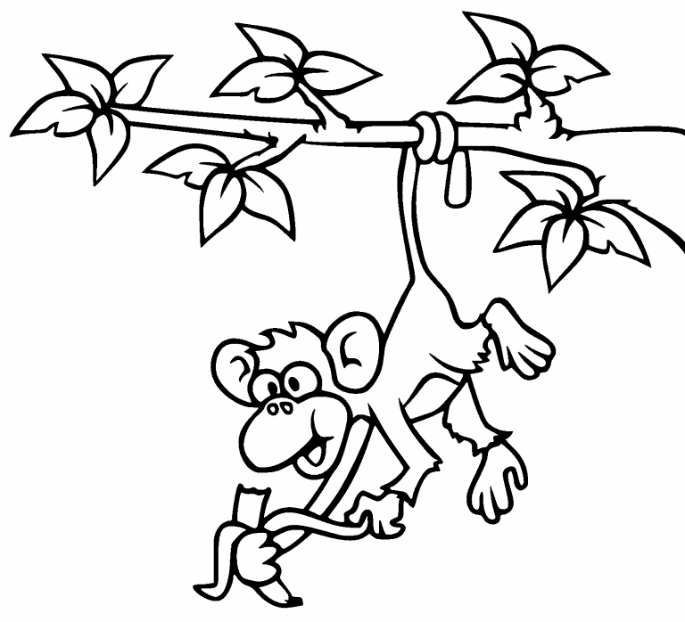 Monkey coloring page - Coloring Pages 4 U