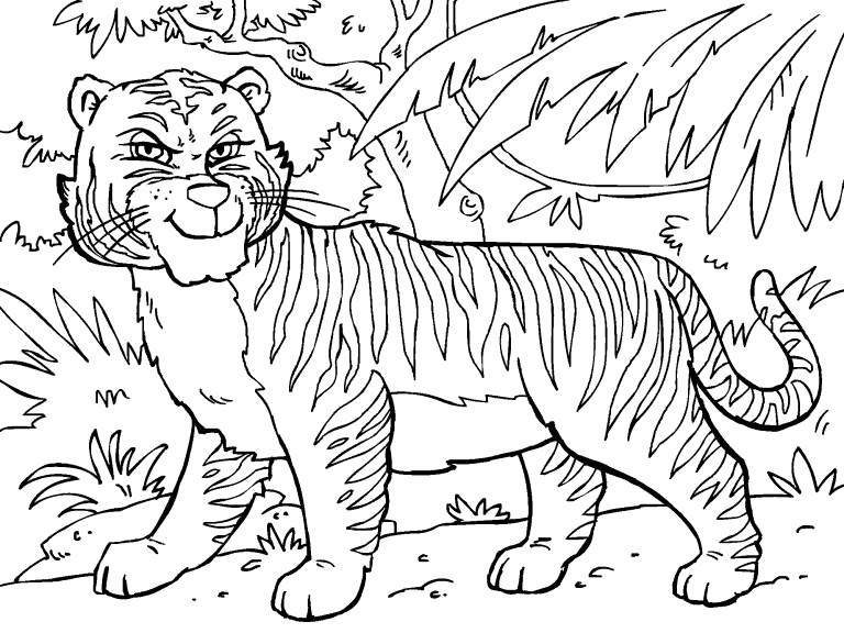 Tiger coloring page - Coloring Pages 4 U